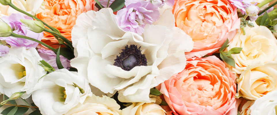 Petals Florists Verwood - Order Online or 01202 827444