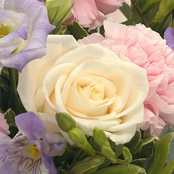 Angel's Delight Petals Florist Verwood